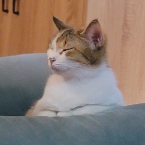 王SSSSS王 