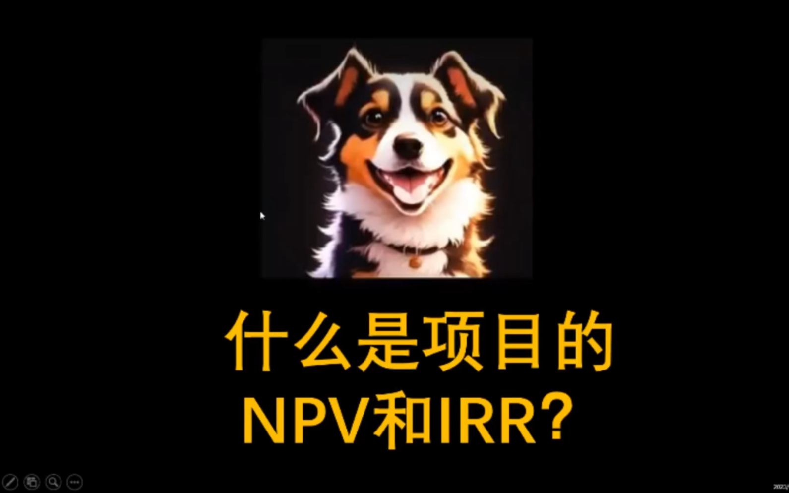 第7集 什么是项目的NPV和IRR?