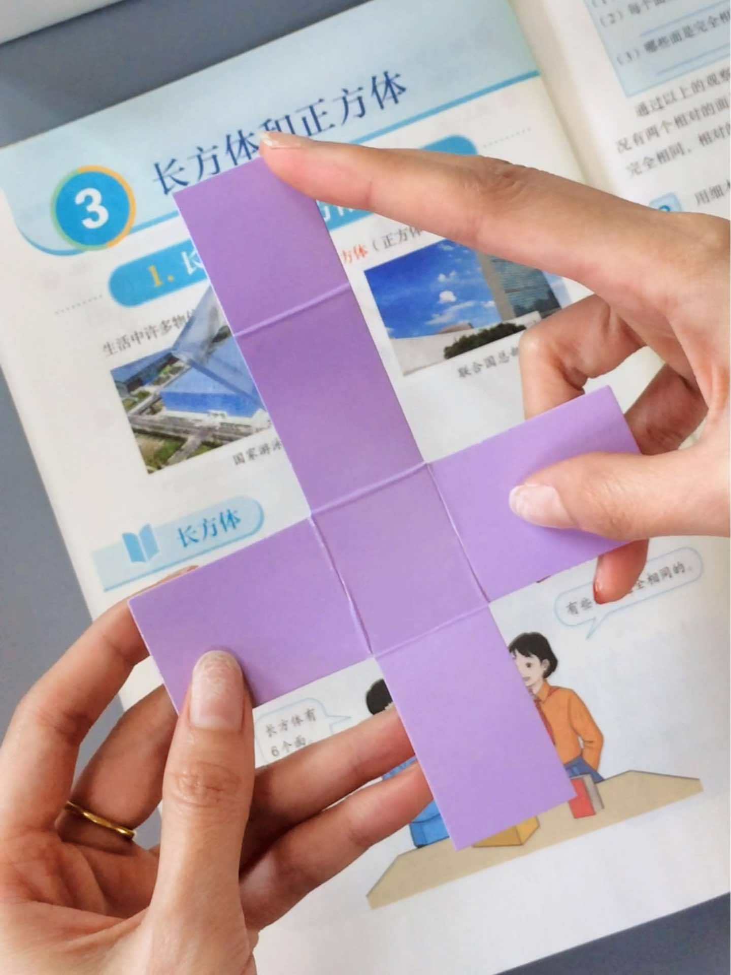 立体图形展开图形,新课标配套学具,课本同步,化抽象为形象,培养空间...