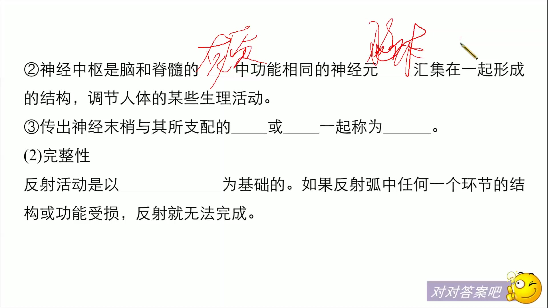 高中必修三神经调节易错点警示——什么是效应器