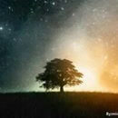 Sin队心事已定解说 