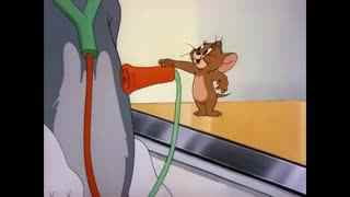 猫和老鼠 第10集