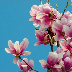 喜洋洋得意洋洋啊 