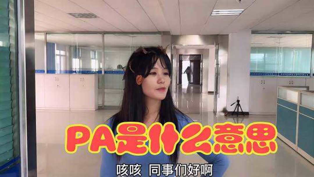 妙子上班第一天,应聘的是总监?PA原来是这个意思!