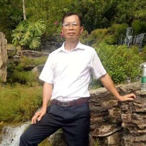 百色本地土鸡生态养殖 