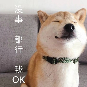 lewandow斯基 