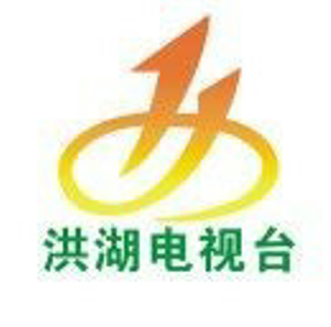 聚焦洪湖 