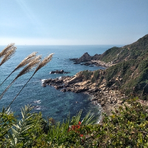 飞鸿文旅的班长 