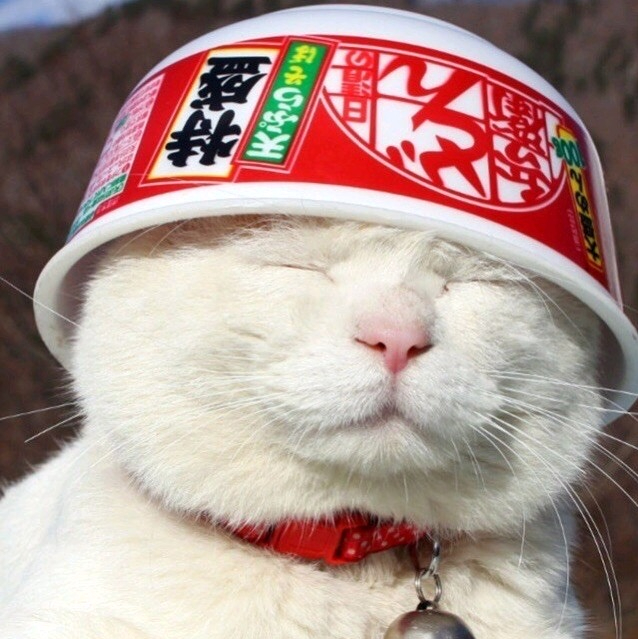 你嘻我哈他呵呵 