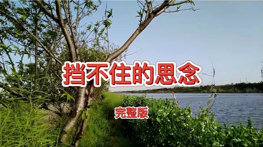 一首《挡不住的思念》分享给你