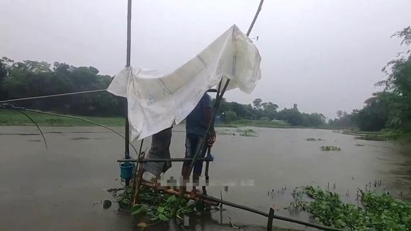 小河上的“水卡”,虽然简单,一天也能捕到不少鱼!