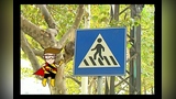 第30集.交通安全标志