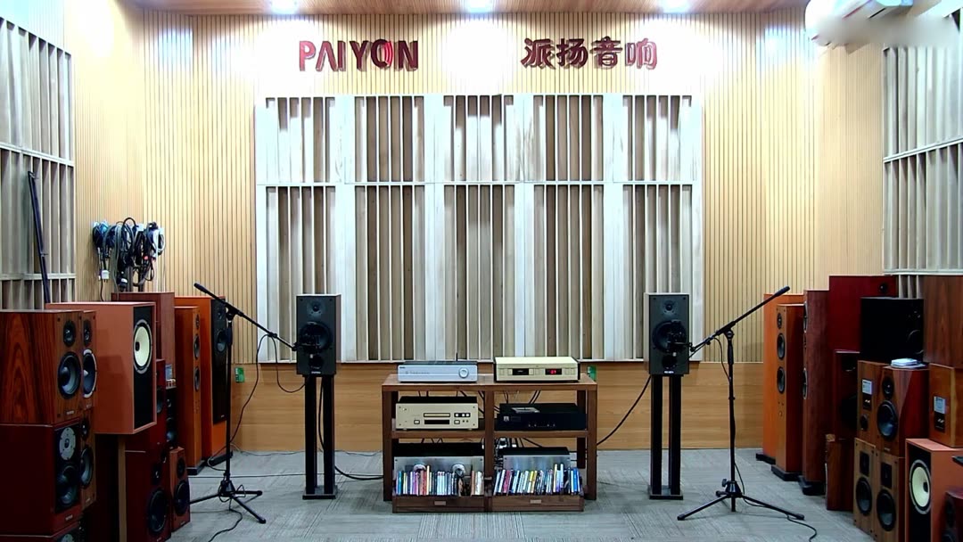 派扬音响P4发烧hifi音箱搭配派扬A201功放演示效果