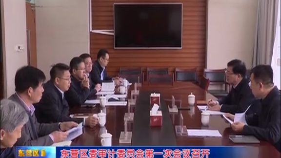 东营区委审计委员会第一次会议召开