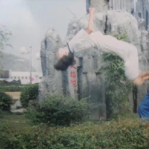 凡飛 