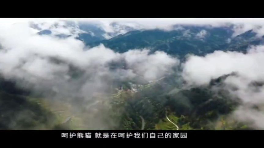 画面唯美,乡村振兴#振兴乡村 #企业宣传片 #品质生活 #保护地球