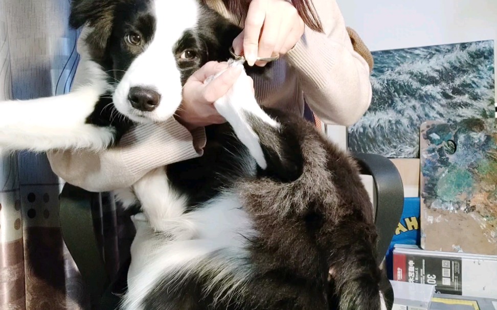 ...特别的疗愈过程,音乐和剪脚毛?(´▽`)ノ♪(剪脚毛注意事项请看简介)