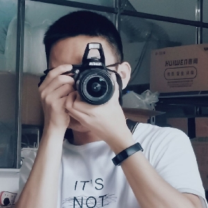 Vselfdom 