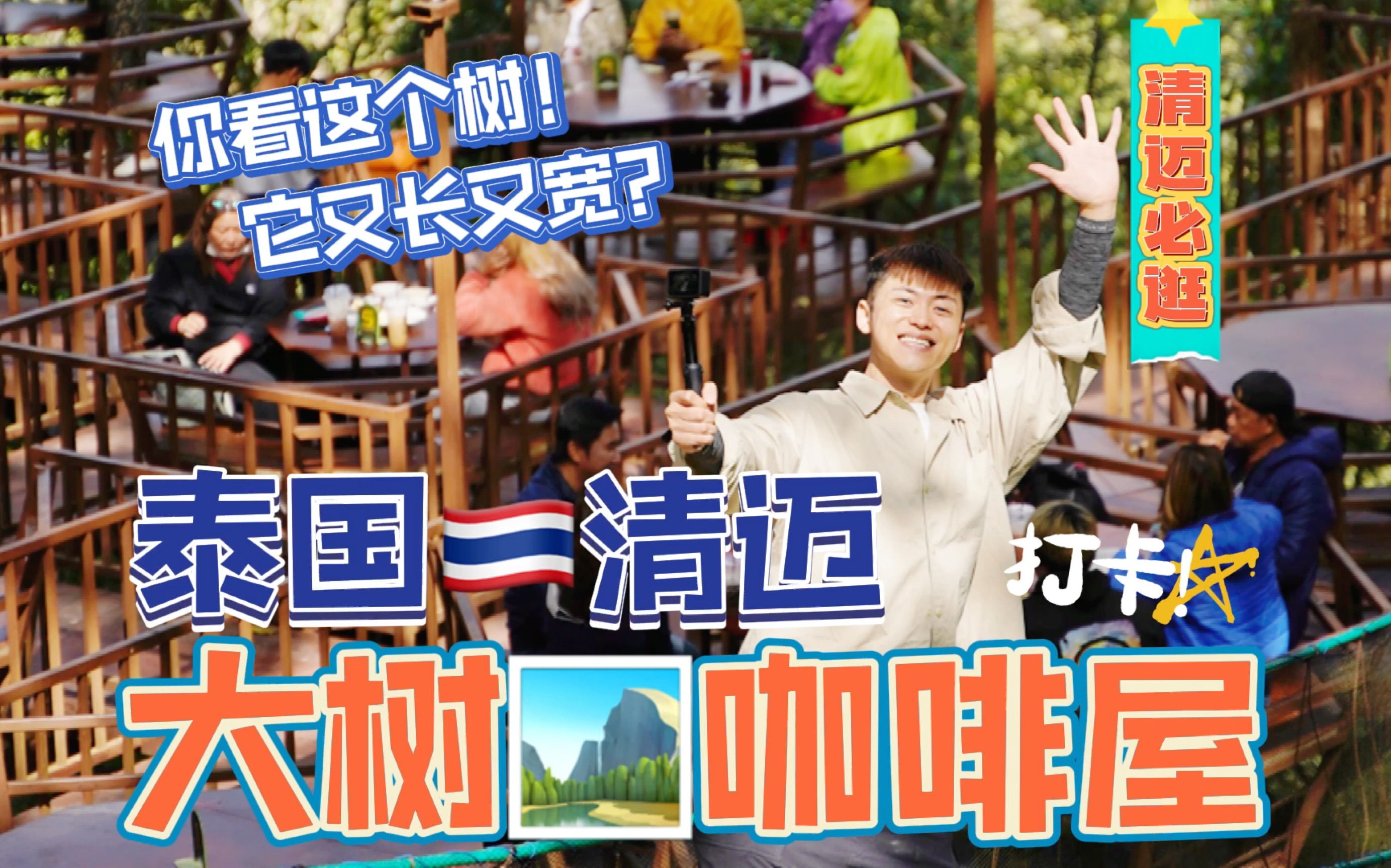 来清迈不得不去的打卡点 大树咖啡厅 美哭我了 宝藏啊 清迈攻略