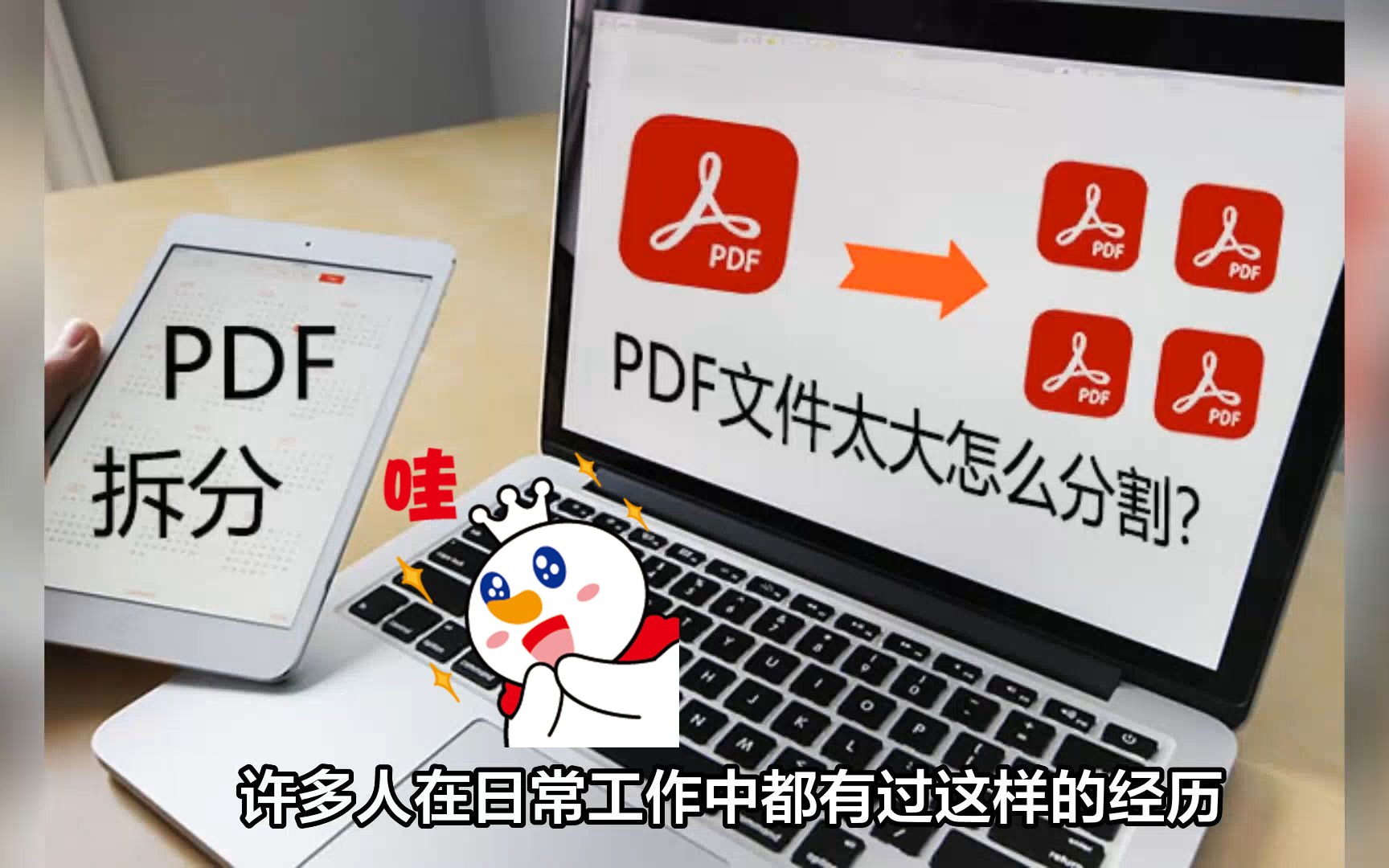 如何拆分页数较多的PDF文件?五个PDF拆分的有效方案