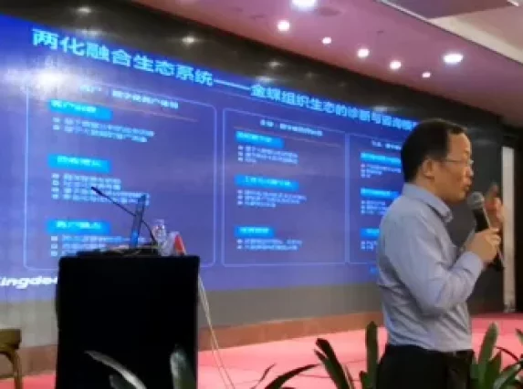 两化融合管理体系贯标咨询方法与实践 P2