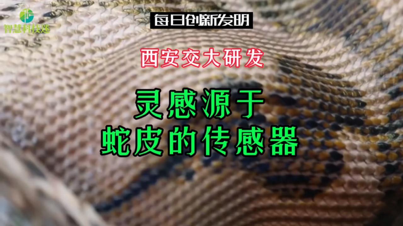 西安交大研发灵感源于蛇皮的传感器,可用于可穿戴智能设备