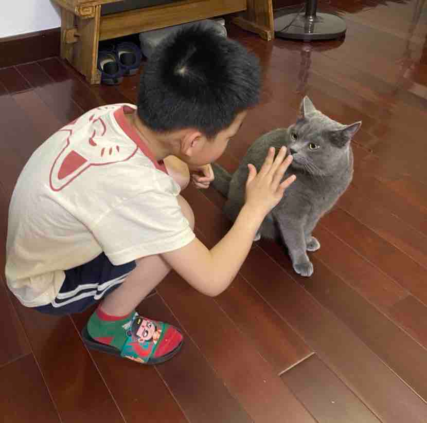 Coco小nvnv