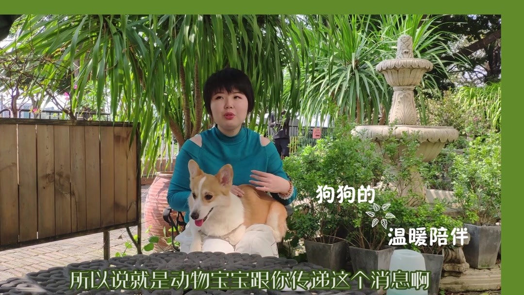 【感人案例】动物沟通中我遇上的那些感人事—Ezoey动物沟通系列