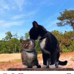 内卷修闲的维维 