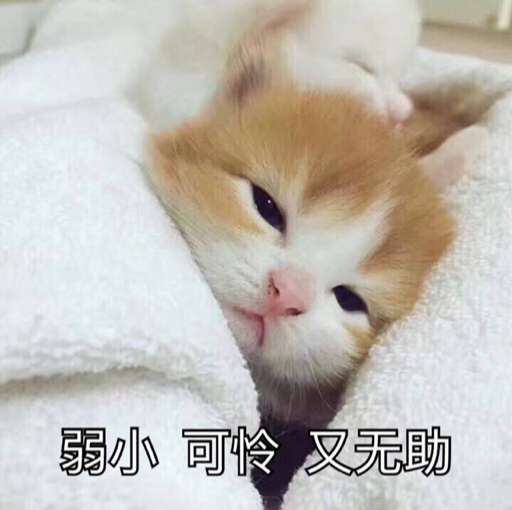 熠熠冉冉 