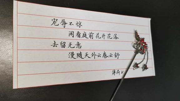 老铁们点赞支持一下哦#硬笔书写 #硬笔练字硬笔书法 #书法 #手写 #...