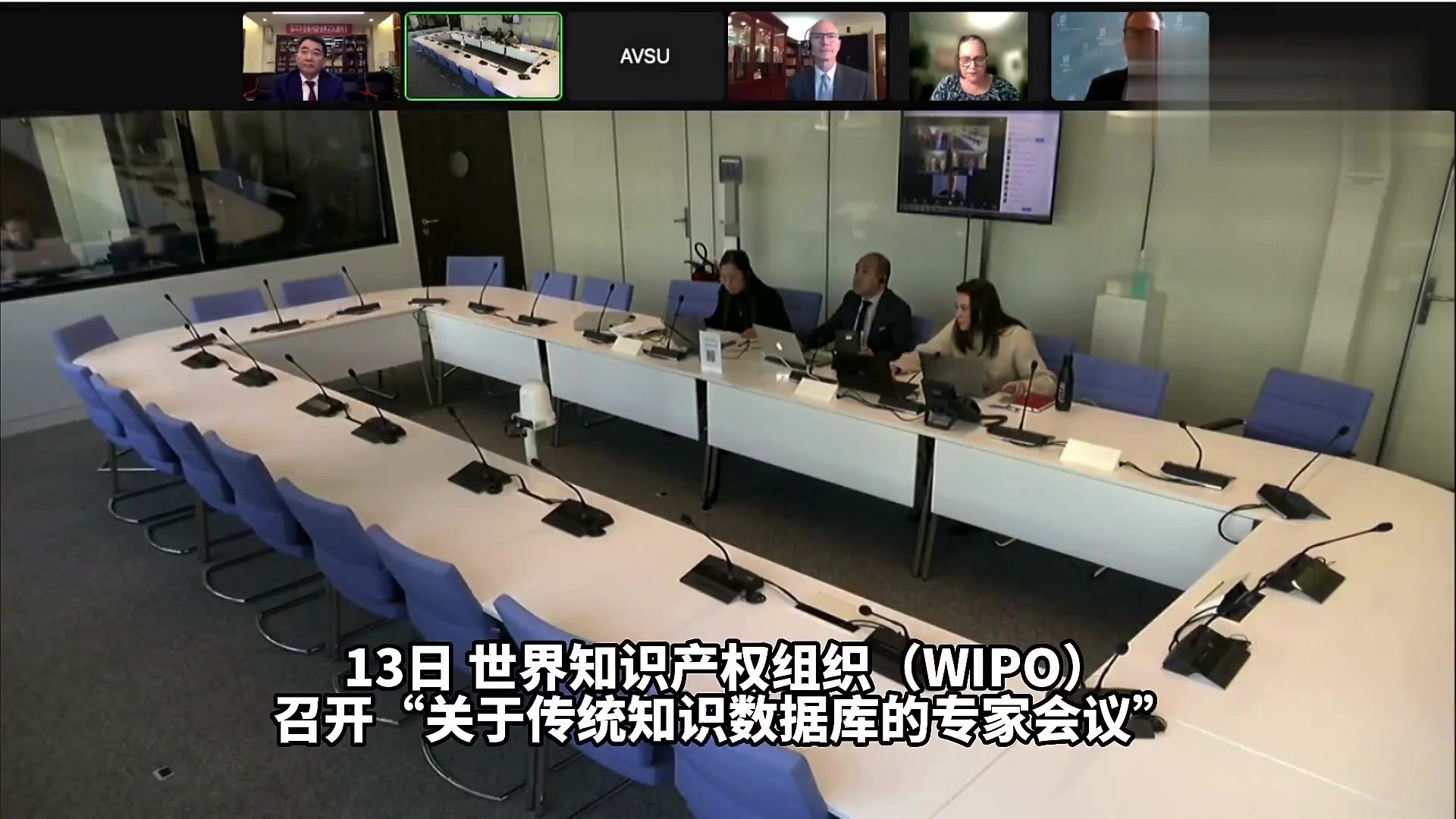 刘剑锋:中国中医药传统知识保护工作走在世界传统知识保护的前列