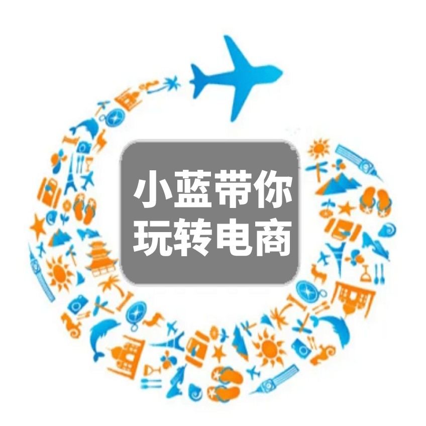 小蓝带你玩转电商 