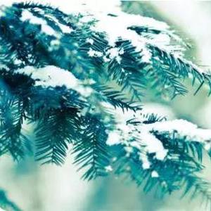 冰淇淋山的冬天 