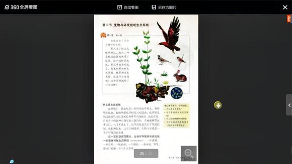 七年级上册生物生物与环境组成的生态系统事物链网分解者自然调节