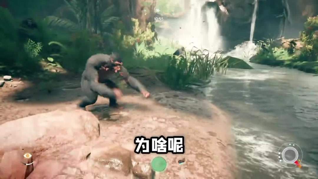 狒狒模拟器:第一次当老大,带领一群狒狒,走向小康啊