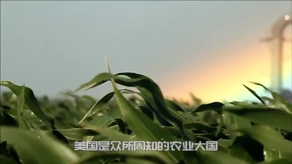 美国农场的灌溉系统,一小时浇完1000亩,太有效率了