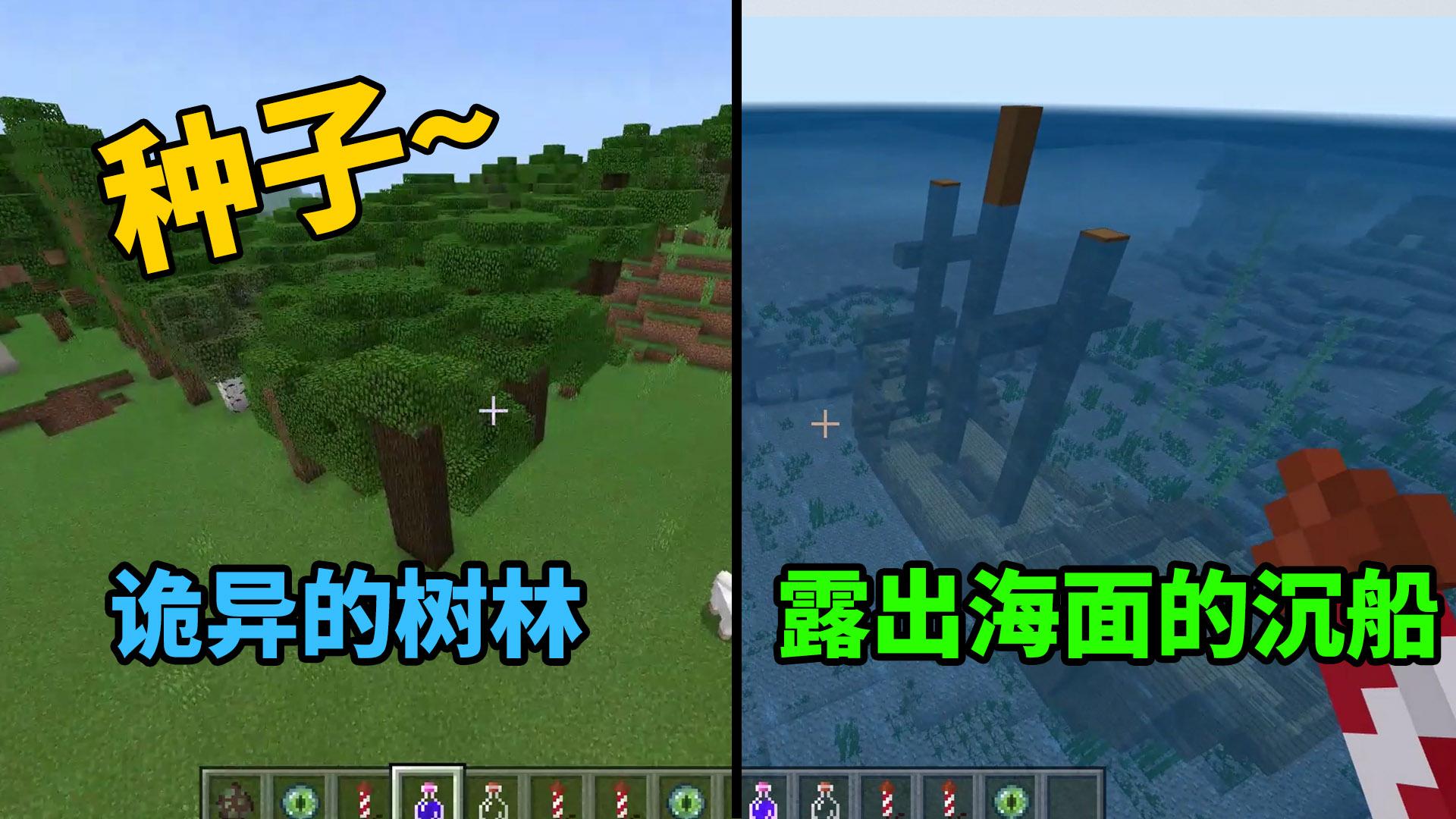 我的世界:诡异的树林和露出海面的沉船遗迹,种子拿走不谢