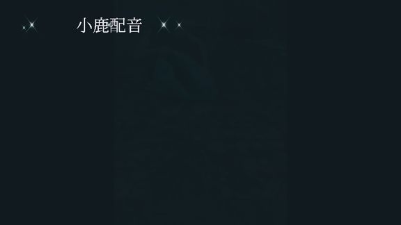 开始表演吧!我准备好了