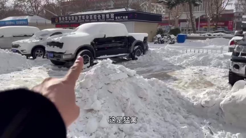 给大家介绍一下四台皮卡车、 #皮卡 #抖音汽车 #硬派越野