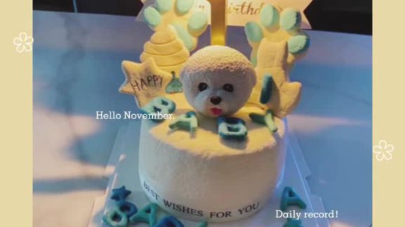 #宠物蛋糕 #蛋糕定制 萌宠蛋糕