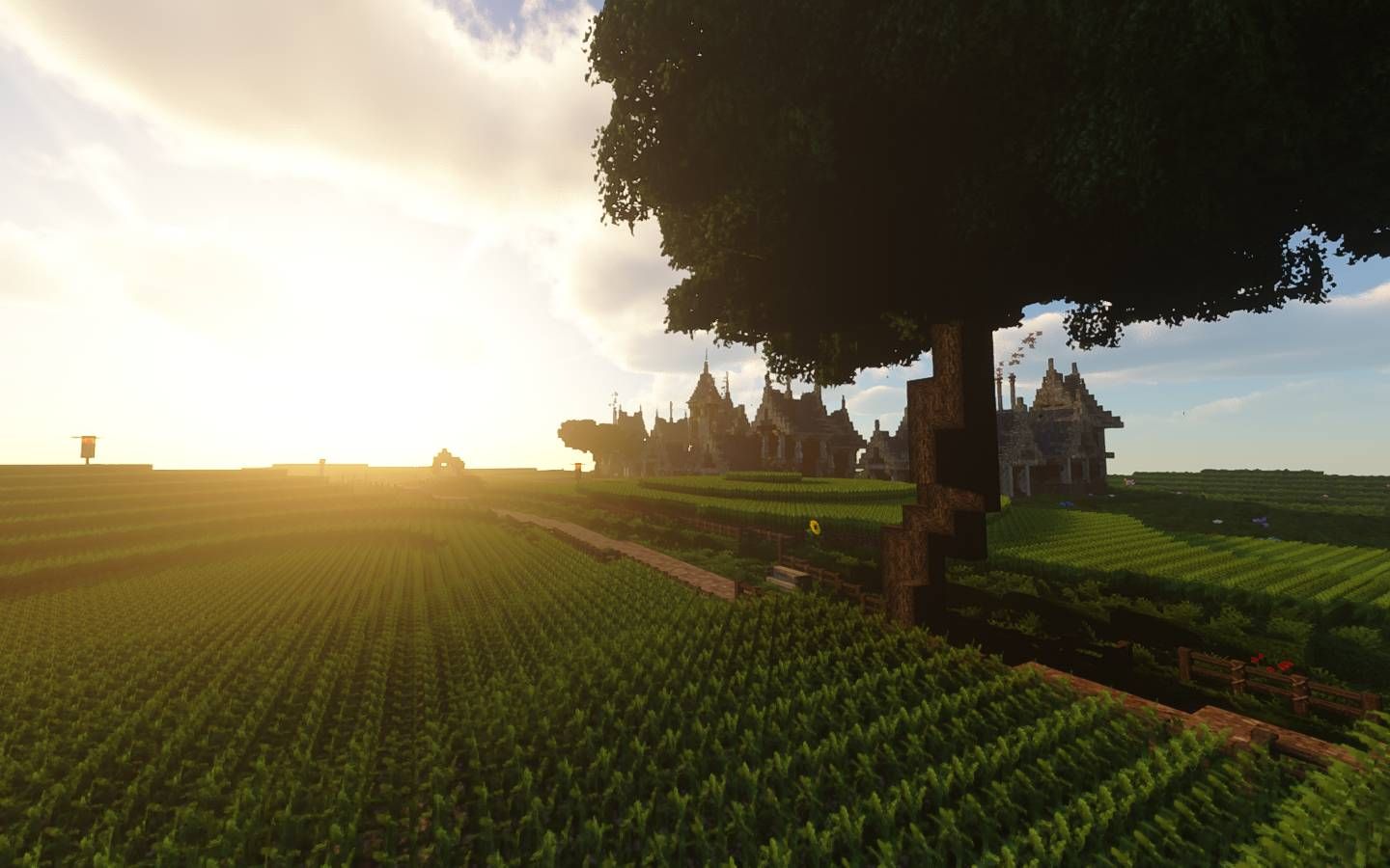 森林越大,怪越多!—我的世界RPG冒险地图天命#3_哔哩哔哩bilibili_我...