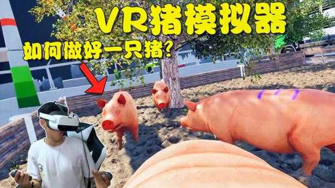 VR游戏,猪模拟器,用VR来体验做一只肥猪的快乐!