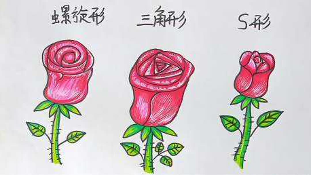 简笔画,三种玫瑰花的画法,你喜欢哪种呢?