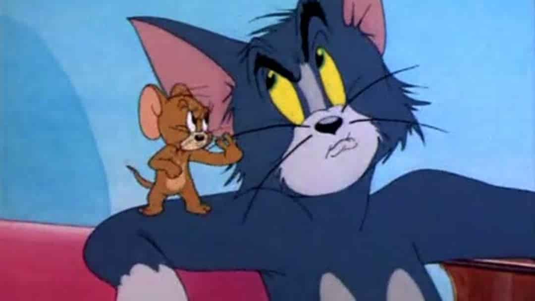 猫和老鼠全集之房子里的老鼠