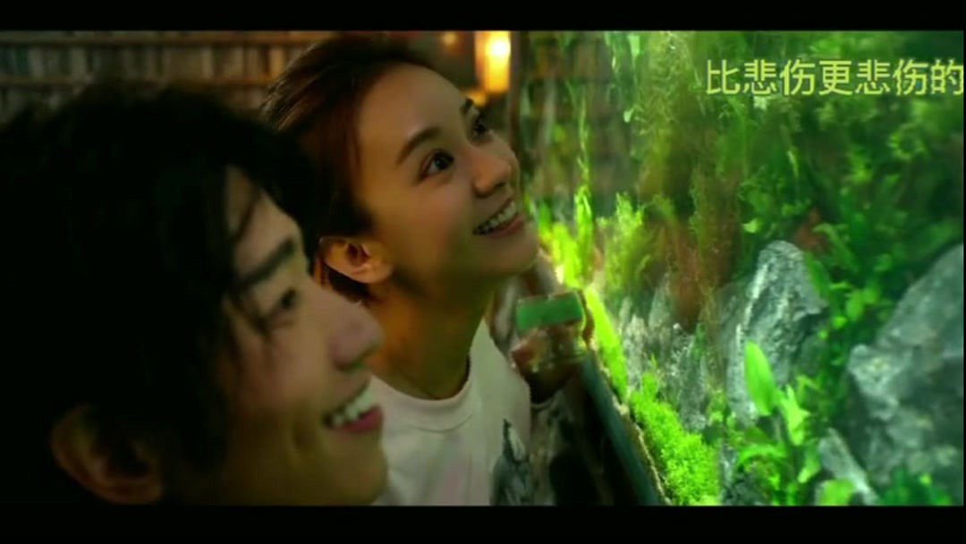 比悲伤更悲伤的故事