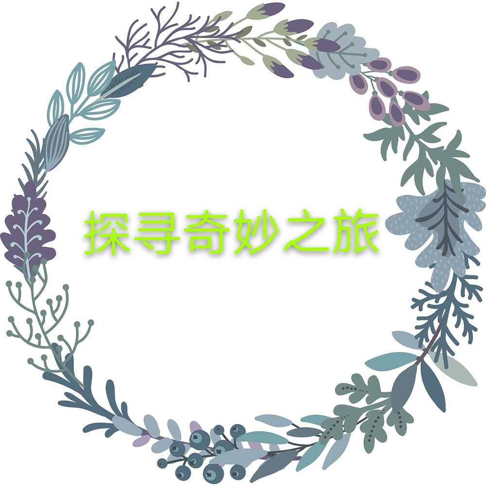探寻奇妙之旅 