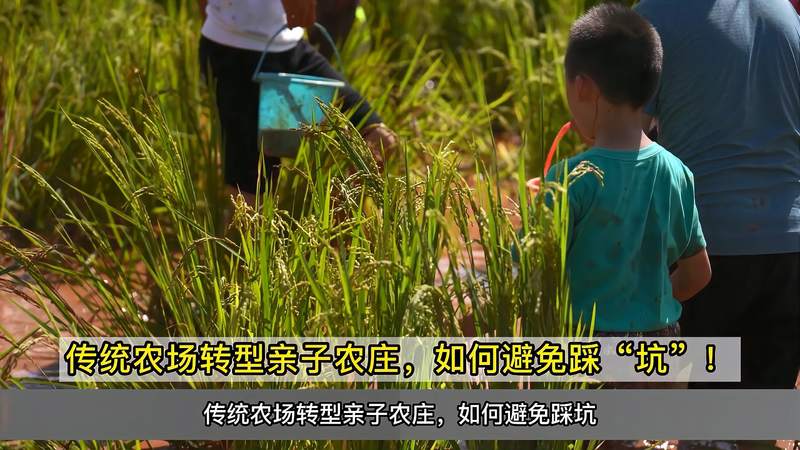 传统农场转型亲子农庄,如何避免踩坑!