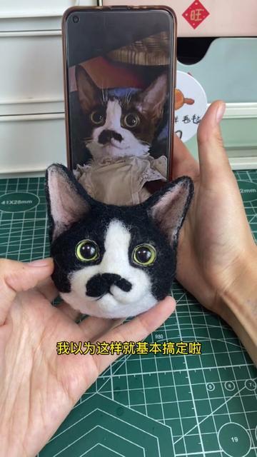 做错了不要紧,改一下就好啦手工,羊毛毡戳戳乐,宠物纪念,手工diy,猫,...