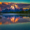 喜欢宅在家里的孩子 